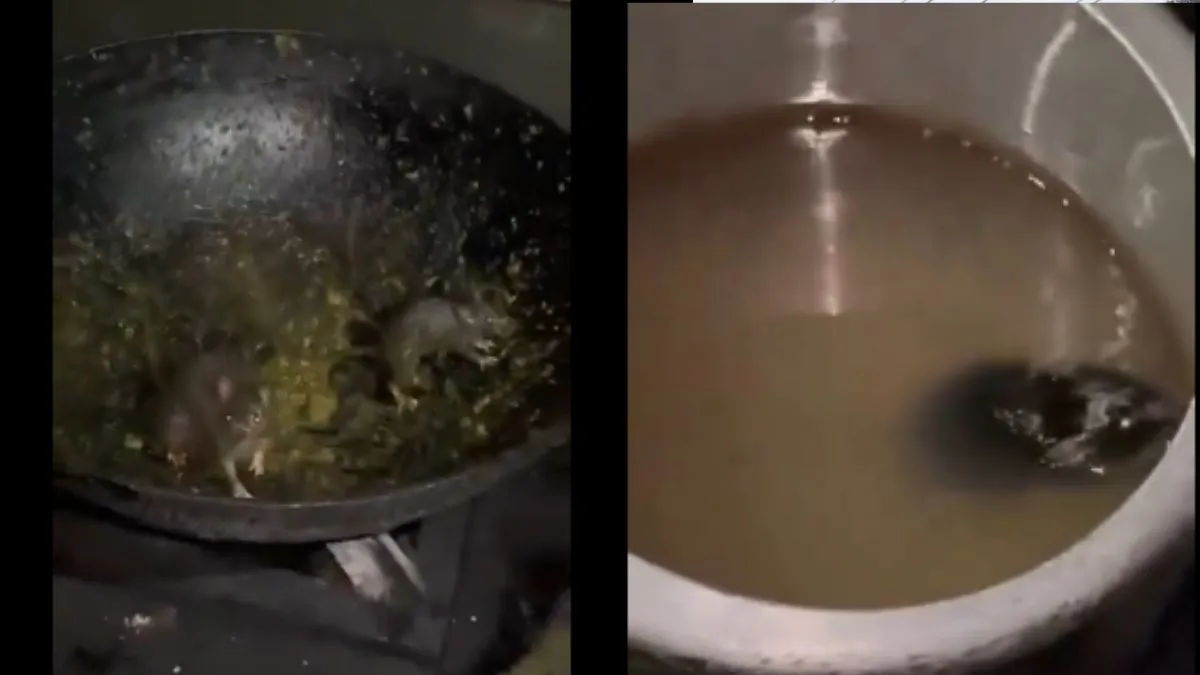 IIT Roorkee's Mess Hygiene Under The Lens, Live Rats Found Jumping In ...