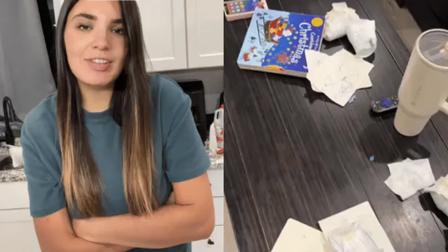 17 Diapers Mom TikTok Trend Takes Over Internet; Disgusted Netizens ...