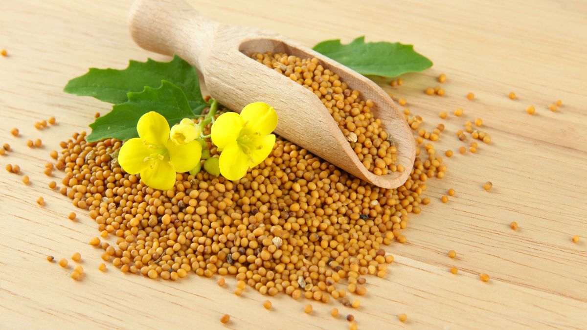 5 Powerful Reasons Why You Should Include Mustard Seeds In Your Regular ...