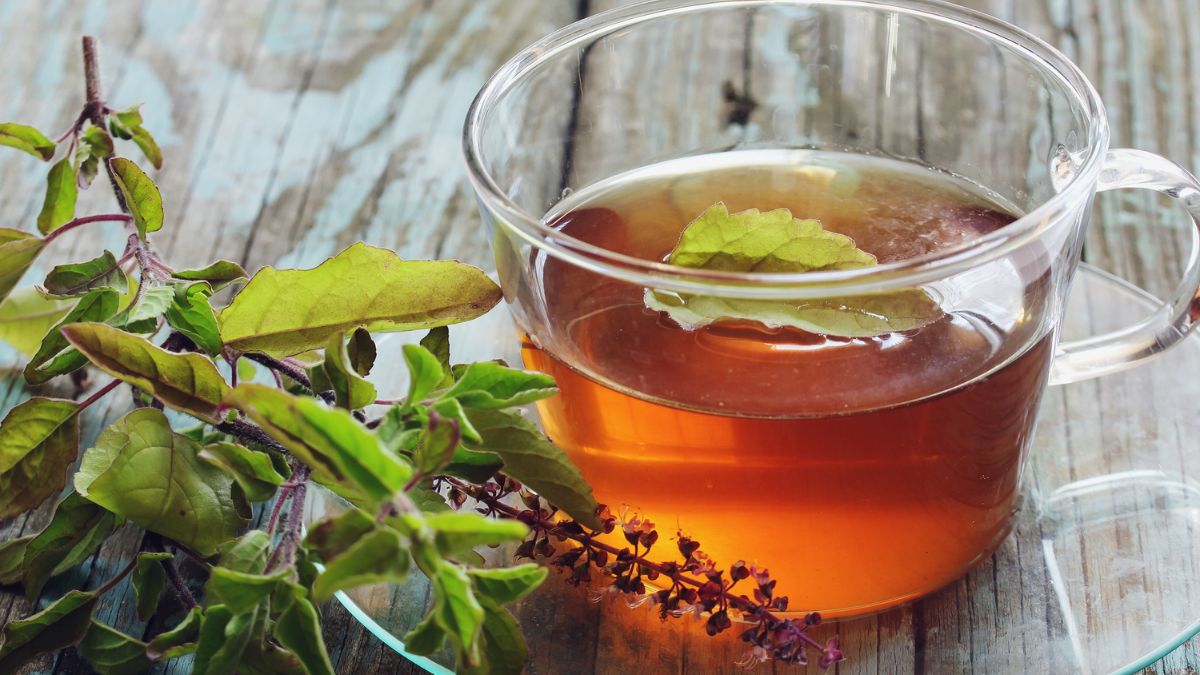 Tulsi Water: 5 Key Benefits Of Drinking One Glass Of It Every Morning ...