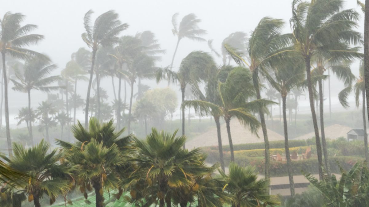 Cyclone Dana Update: South Bengal To Witness Heavy Rain Today As ...