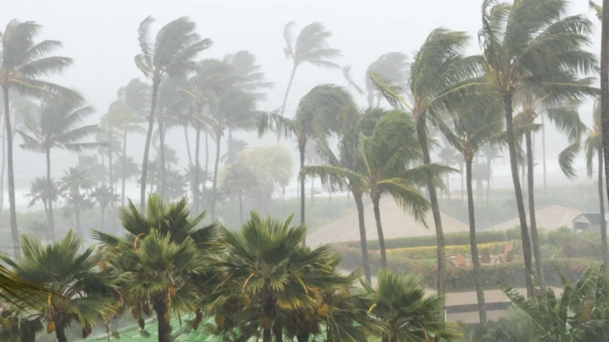 Cyclone Dana Update: South Bengal To Witness Heavy Rain Today As ...