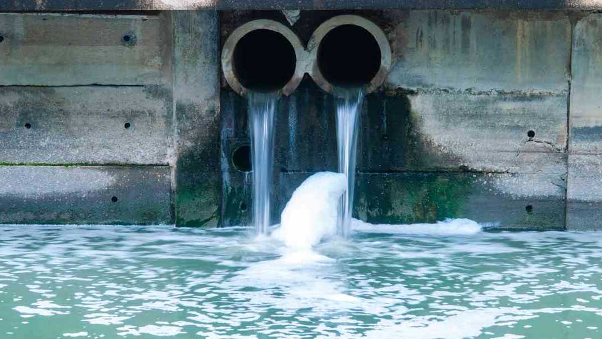 Wasting Sewage Water Leads To Drinking Water Overuse, Better STPs Can ...