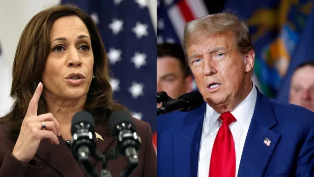 'US Elections Results May Not Be Known For Several Days': Kamala Harris ...