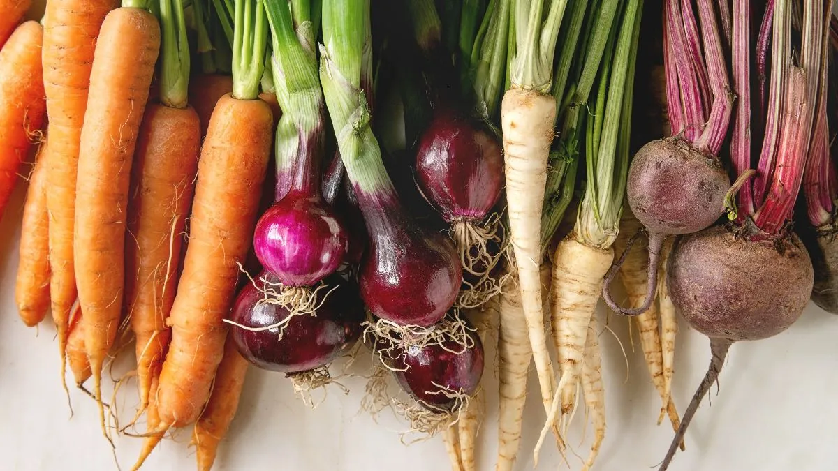5 Healthiest Root Vegetables That You Should Include In Your Diet
