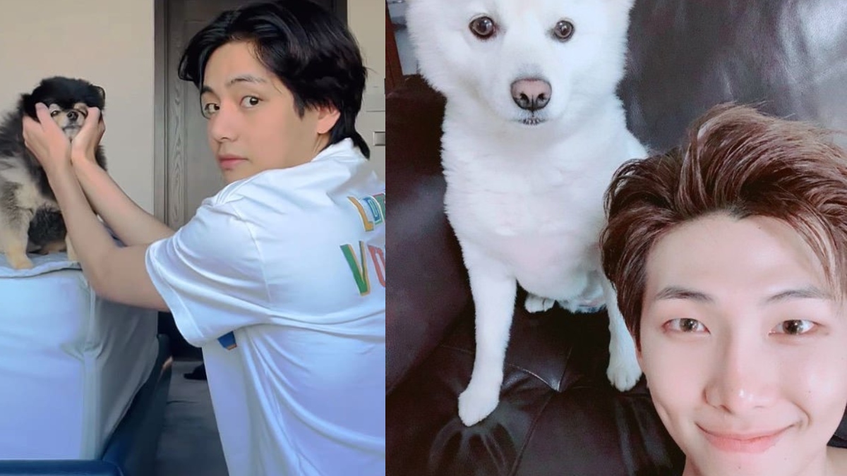 BTS Members’ Cute Pet Animals: Know Names Of What Jungkook, Jin, V ...