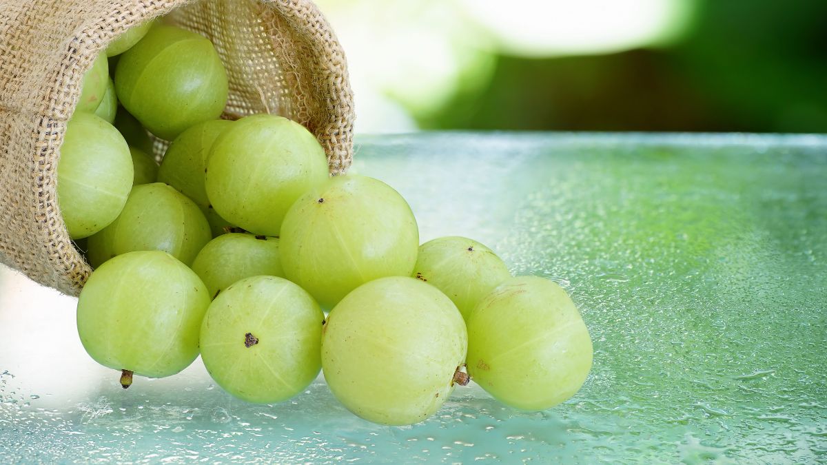 Why You Should Eat One Amla Daily On Empty Stomach? Know Incredible ...