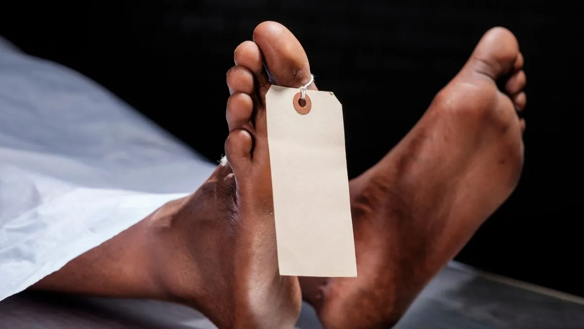 Gujarat: PhD Student From Delhi-IIT Dies After Excavation Pit Collapses Over Her In Lothal