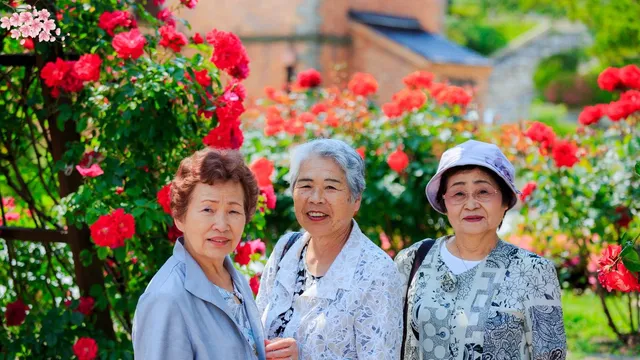 4 Most Effective Key Lifestyle Habits Inspired By Japanese People For ...