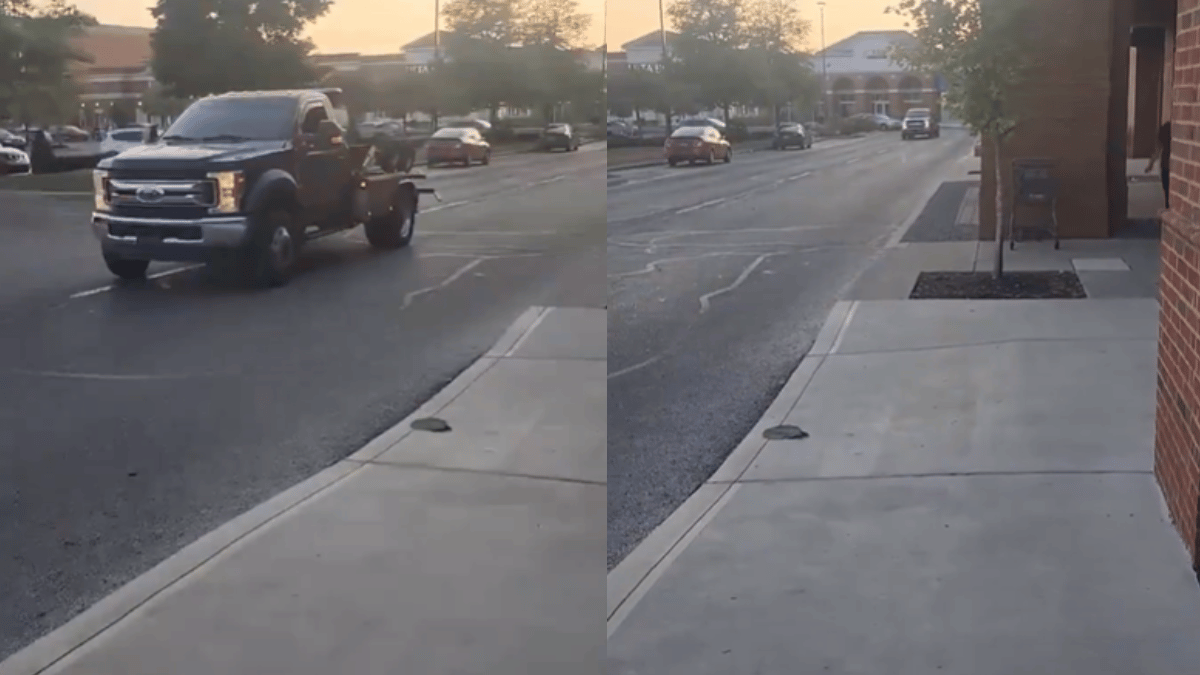 Viral Video Of Driver Chasing Car In Reverse Leaves Internet Cracking ...