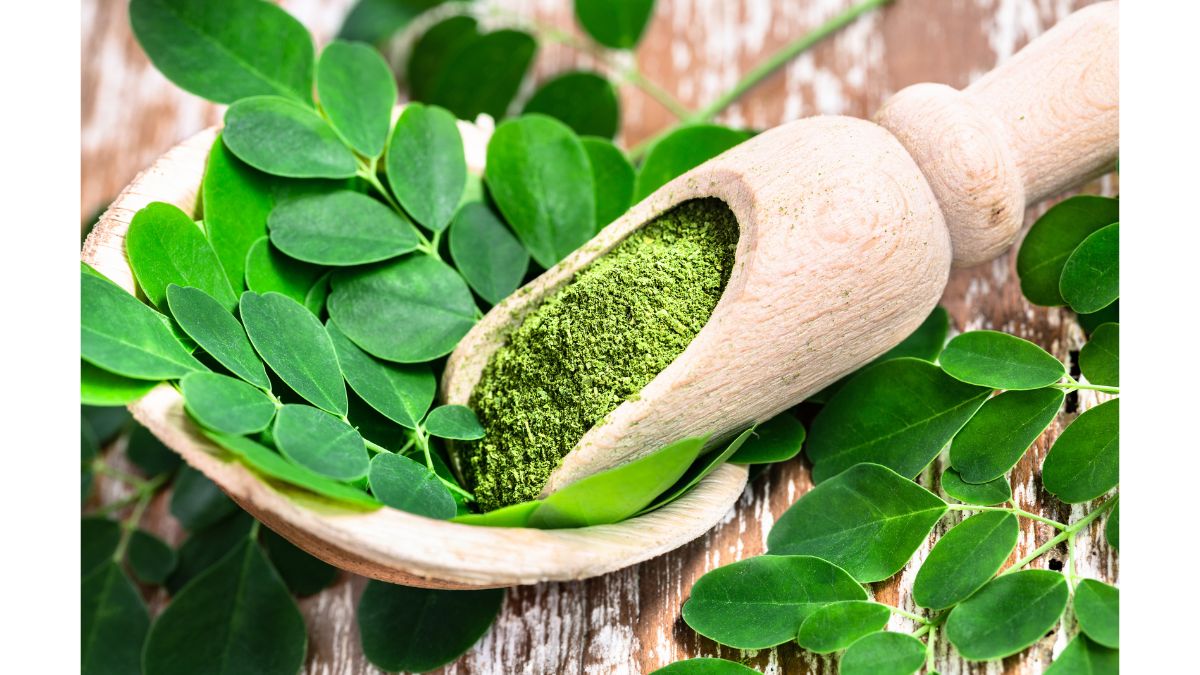 4 Astonishing Benefits Of Eating Fresh Moringa Leaves On Empty Stomach