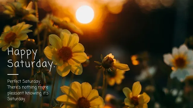 Happy Weekend: Top 20 Bright And Joyful Saturday Quotes To Share With ...