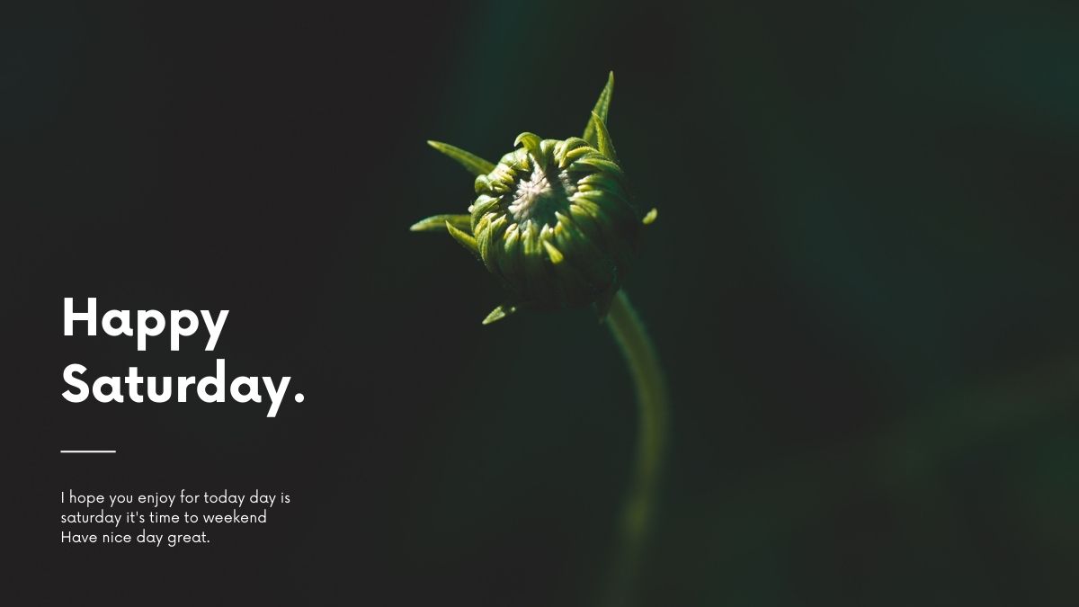 Happy Weekend: Top 20 Bright And Joyful Saturday Quotes To Share With ...