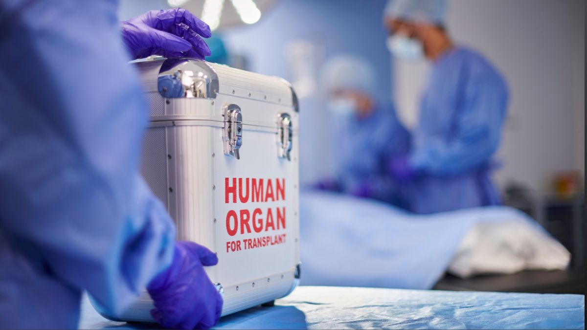 Rajasthan: Brain-Dead Man's Vital Organs Airlifted To Save 6 Lives In ...