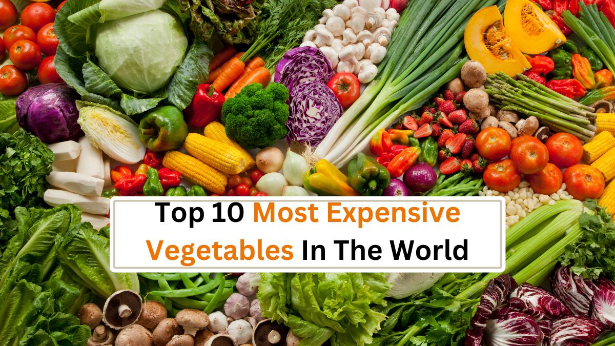 List Of Top 10 Most Expensive Vegetables In The World: White Truffle To ...