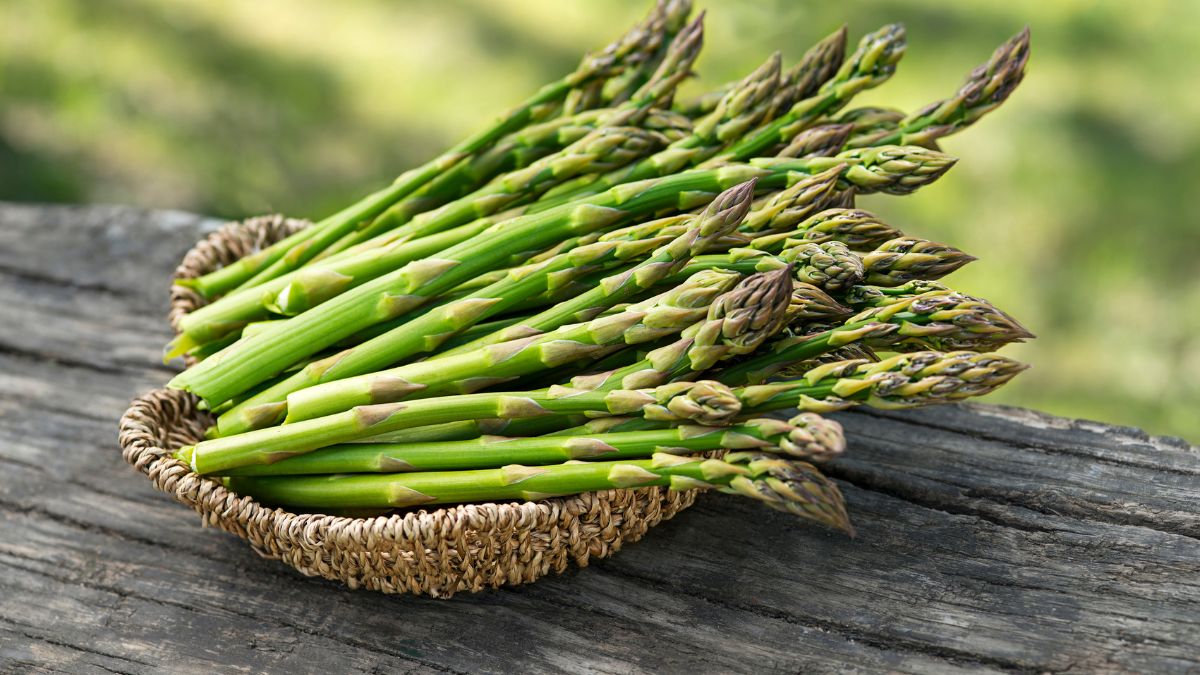 List Of Top 10 Most Expensive Vegetables In The World: White Truffle To ...