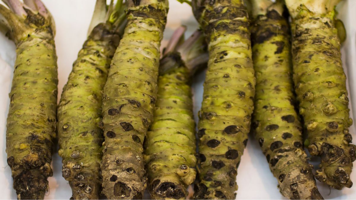 List Of Top 10 Most Expensive Vegetables In The World: White Truffle To ...