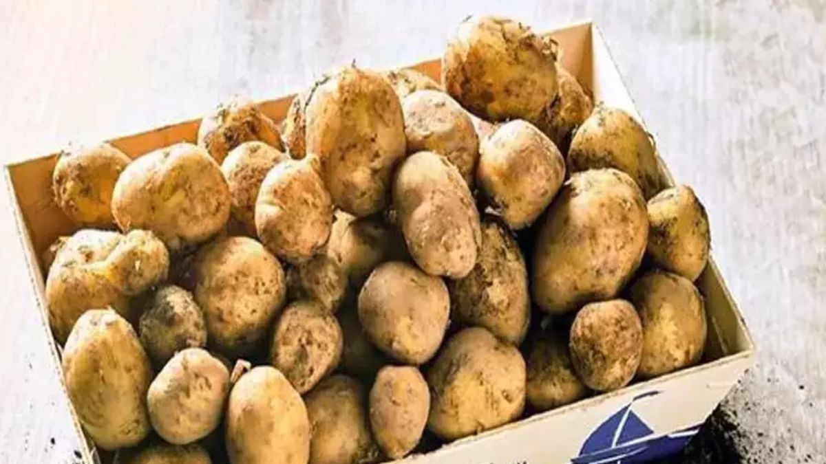 List Of Top 10 Most Expensive Vegetables In The World: White Truffle To ...