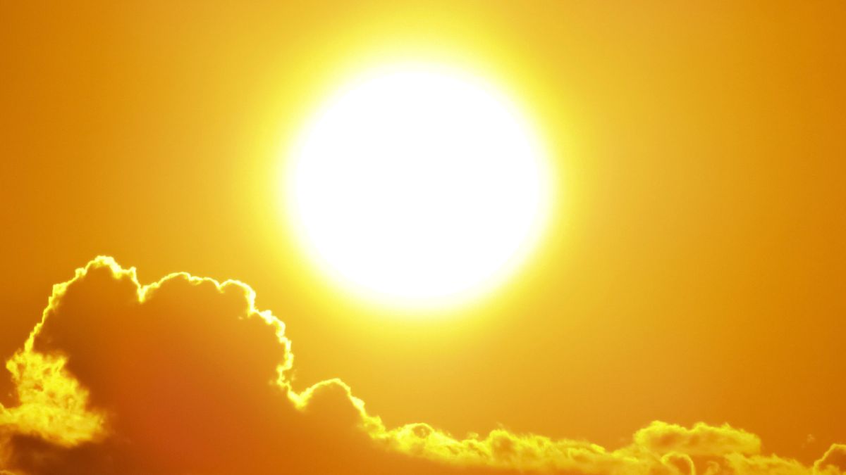 Paush Month 2024: Puja Vidhi And Benefits Of Worshipping Surya Dev ...