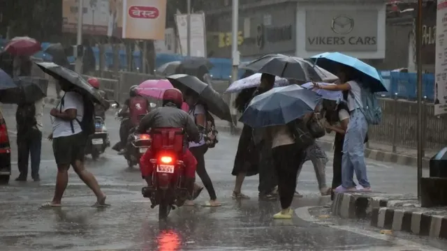 Chennai Weather: IMD Forecasts Light To Moderate Rainfall In Upcoming Days; Dense Fog In Early ...