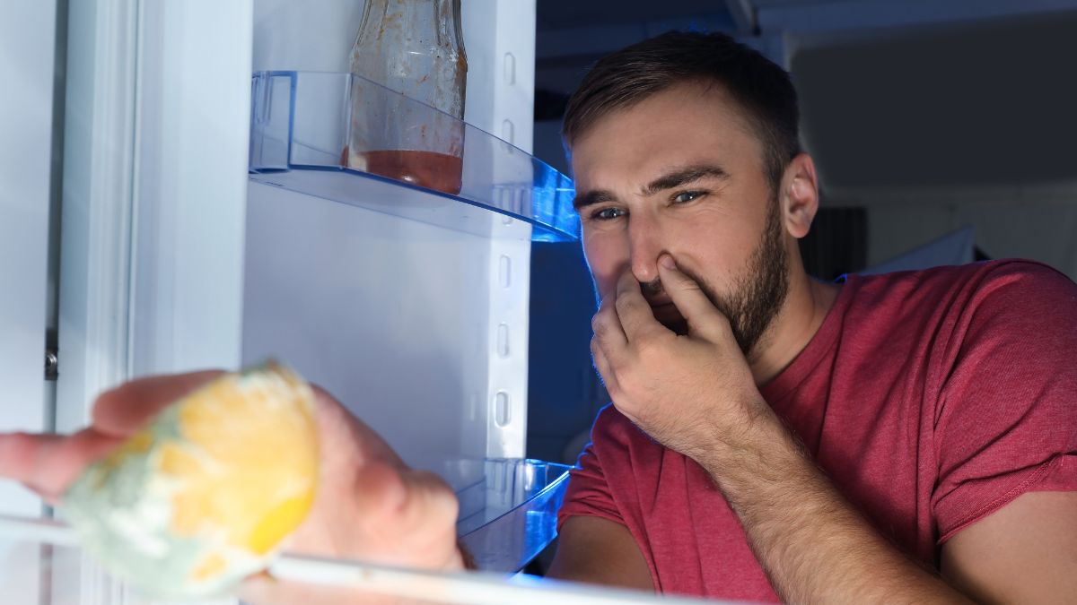 5 Easy Ways To Check If Your Food Is Fresh Or Stale