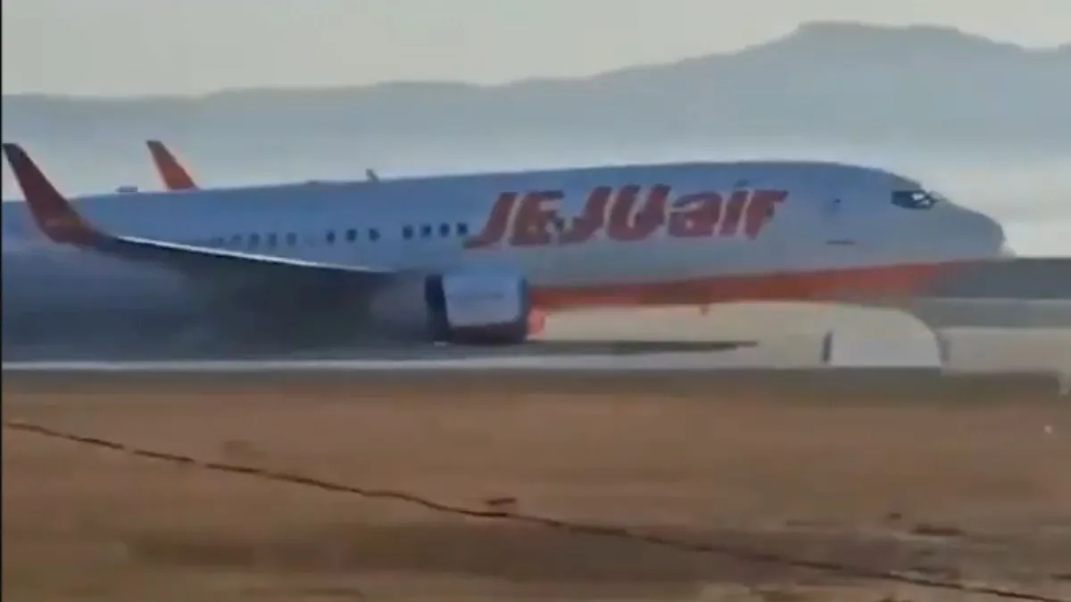 South Korea Plane Crash: Video Captures Massive Explosion During Jeju Air Flight's Landing | WATCH