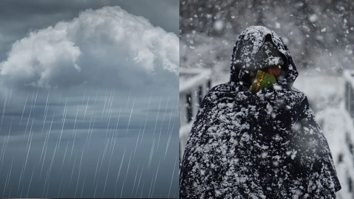 North India Weather Update: New Western Disturbance To Bring Rain, Snowfall From January 4; IMD ...