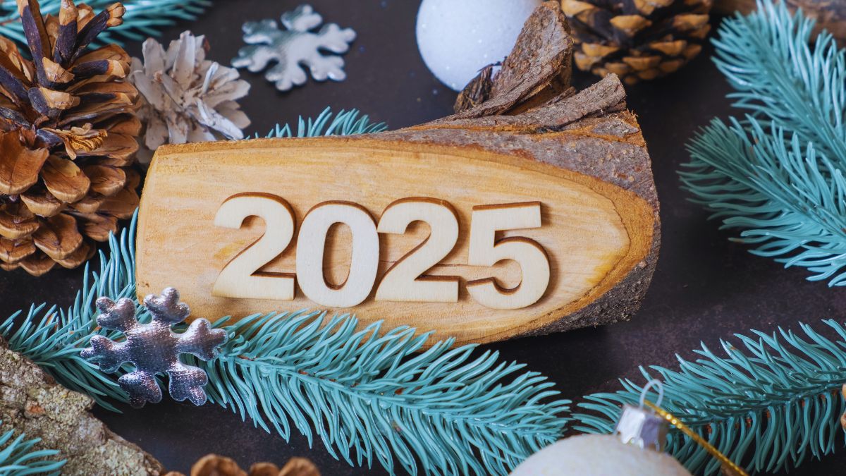 Happy New Year 2025: 5 Vastu Elements To Bring Home This Coming Year To ...