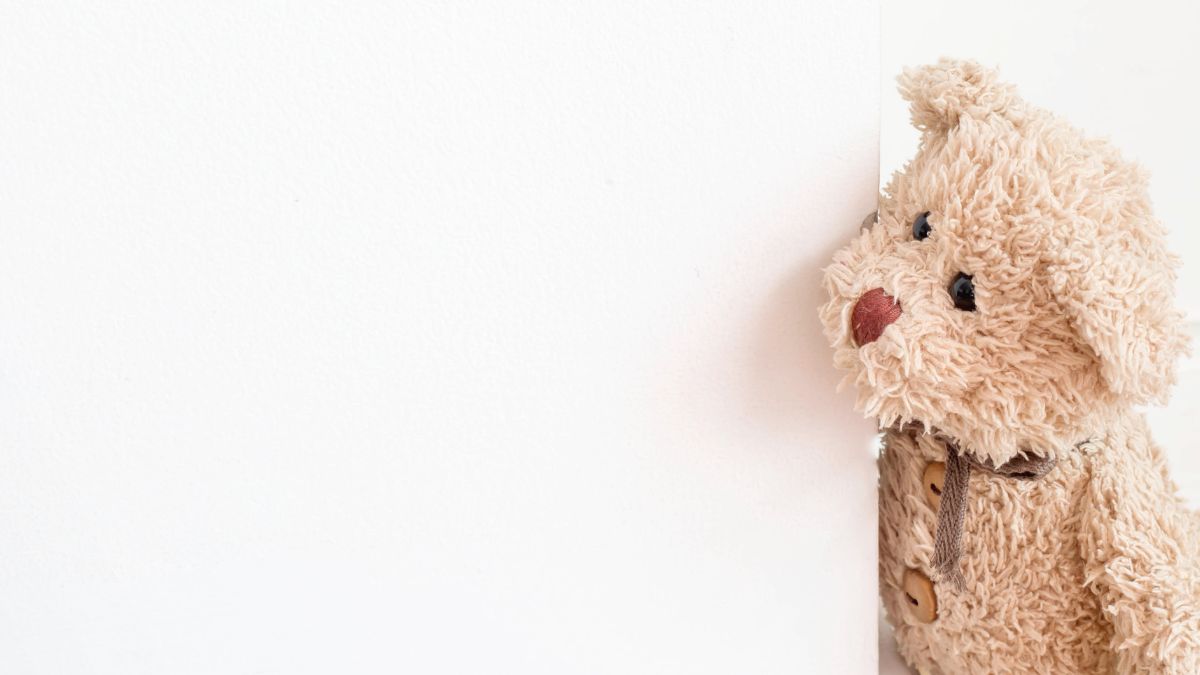 Happy Teddy Day 2024: 5 Reasons Why You Should Give Teddy To Your Partner
