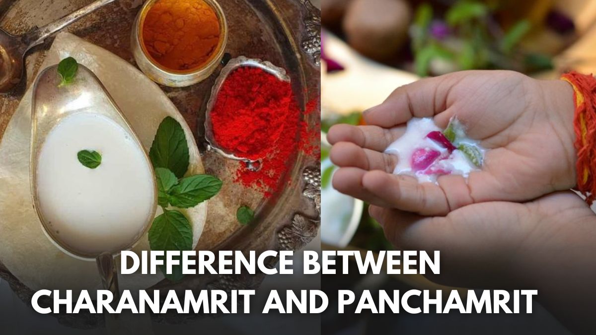 What Is The Difference Between Charanamrit And Panchamrit? All You Need ...
