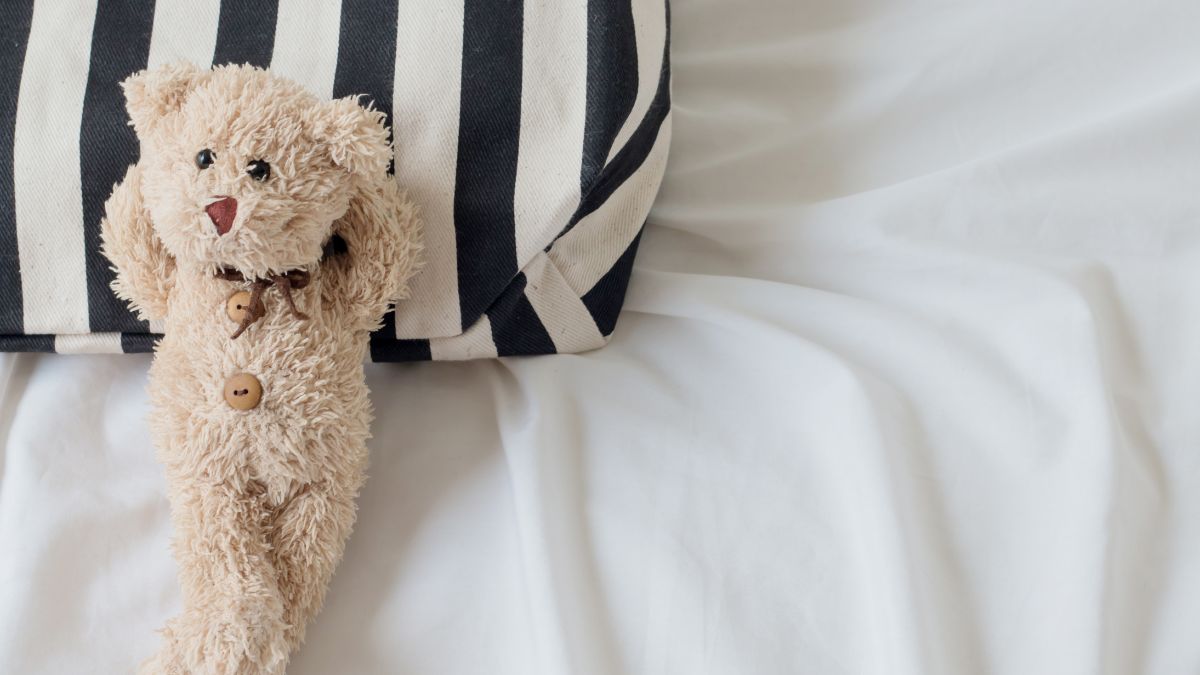 Happy Teddy Day 2024: Wishes, Messages, Quotes, WhatsApp And Facebook ...