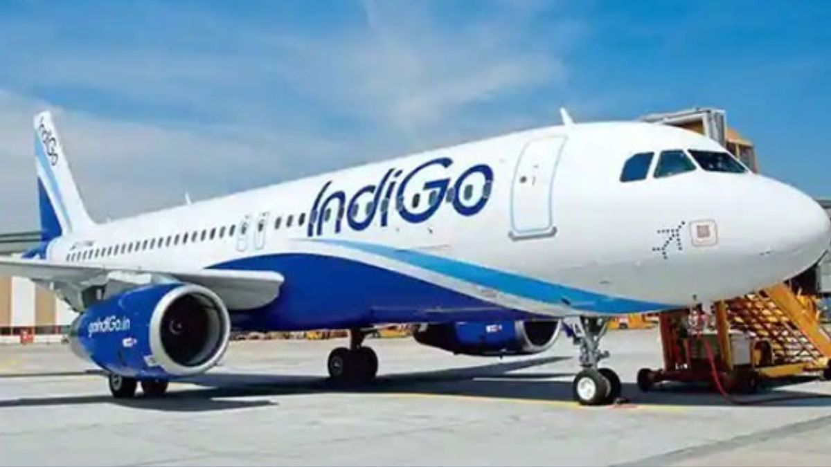 IndiGo Passenger Discovers Cockroaches In Food Section; Airline ... IndiGo Passenger Discovers Cockroaches In Food Section; Airline ...