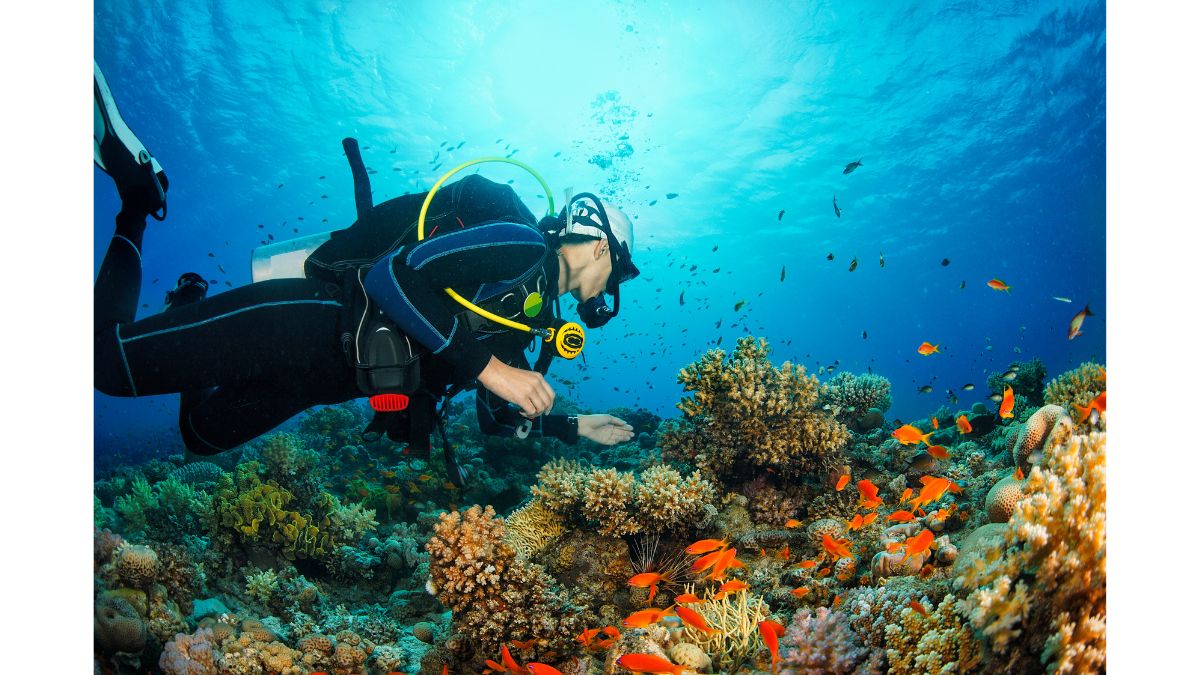 PM Modi Dives Into Arabian Sea At Submerged Dwarka; 5 Best Places For ...