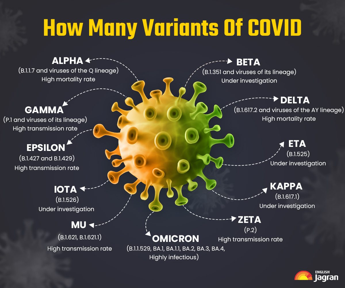 Rising Infections Of JN.1 Ring Alarm Bells, Experts Urge Vigilance And ...