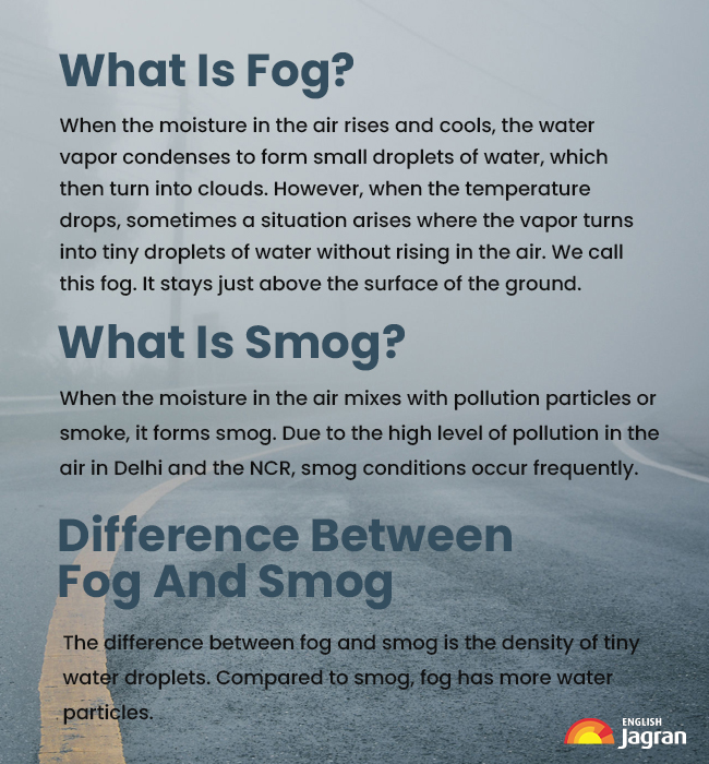 As Foggy Weather Hits Normal Life In North India, This New 'Fog ...