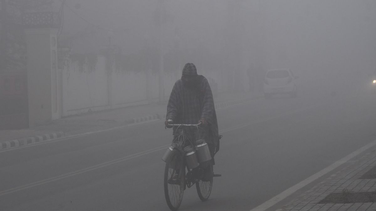 Delhi Weather: Cold Wave To Continue In NCR, Flights And Trains Affected Due To Dense Fog; Light ...