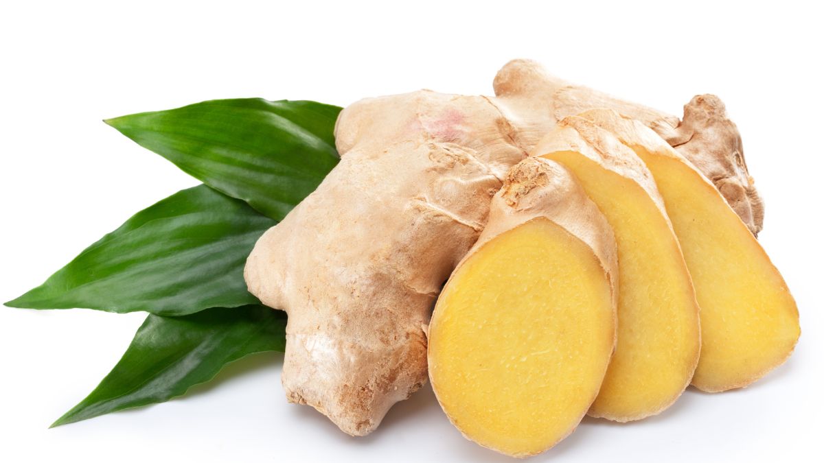 Arunachal's Adi Kekir Receives GI Tag Along With Two Other Items