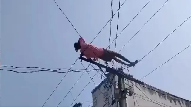 Andhra Pradesh: Drunk Man Climbs Electricity Pole, Dozes Off On Live ...