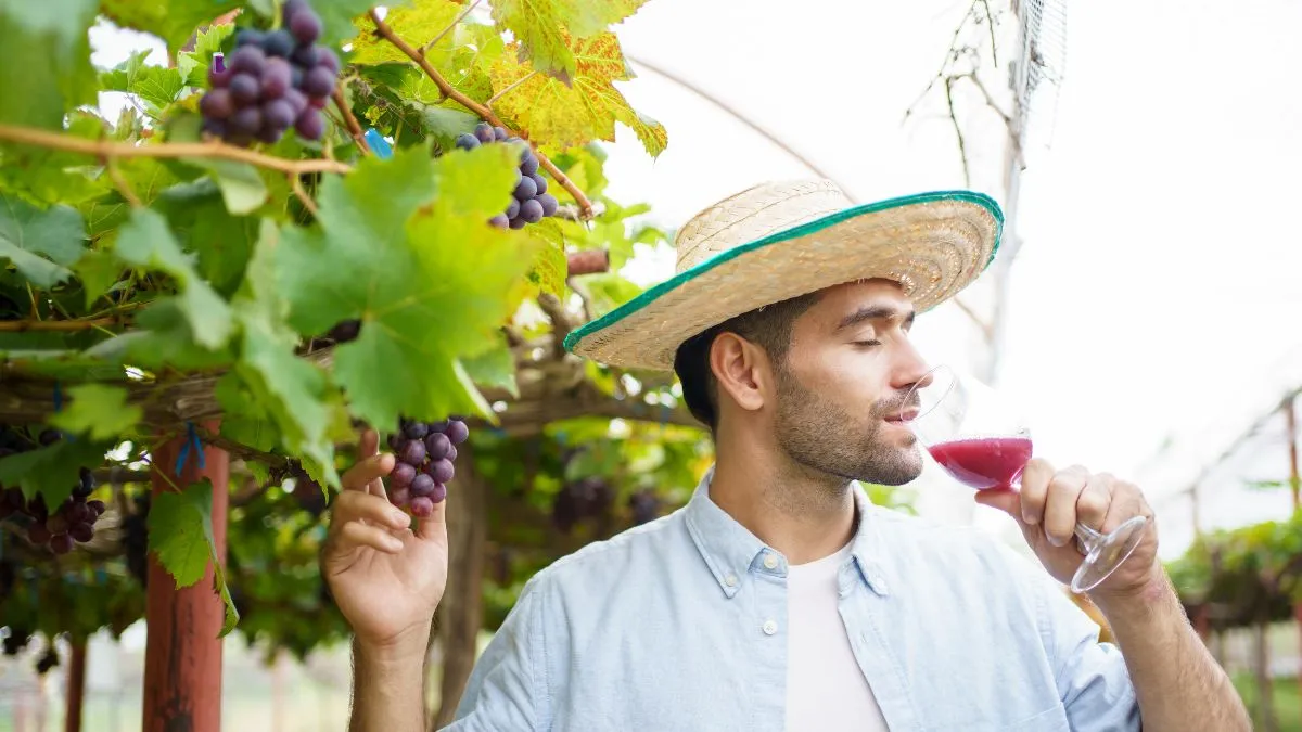 4 Health Benefits Of Drinking Grape Juice This Winter Season