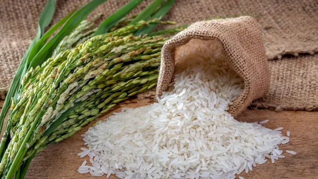 4 Reasons To Avoid Eating Rice Twice A Day