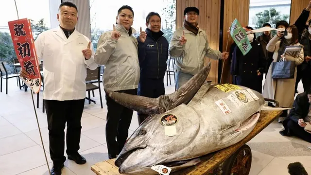 Motorcycle Sized Tuna Sells For USD 1.3 Million At Tokyo Fish Auction ...