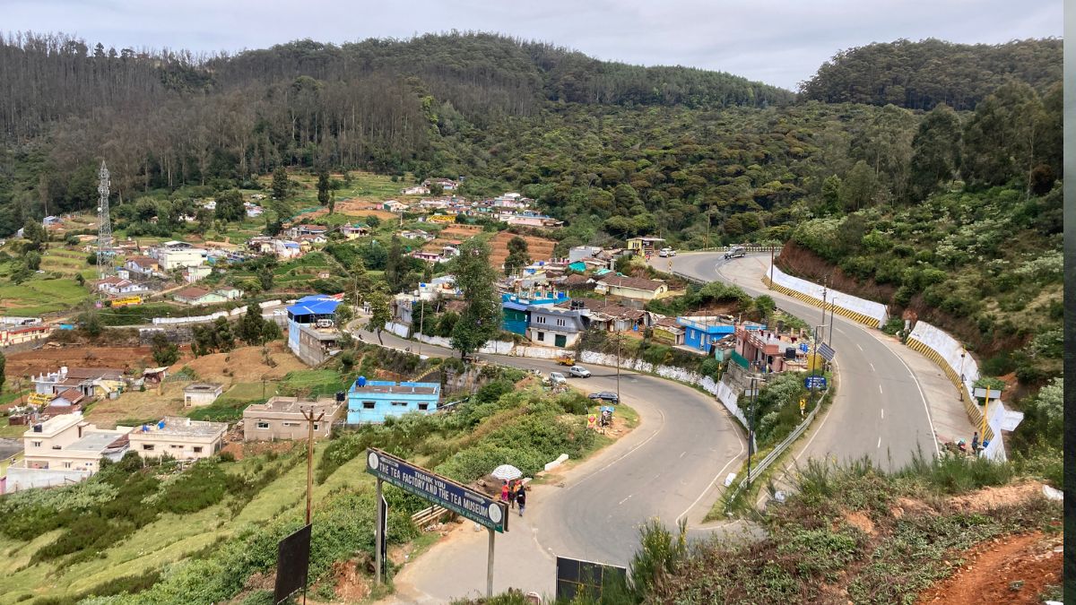 10 Most Beautiful Roads In India: Ladakh Circuit To Bangalore-Ooty Roads