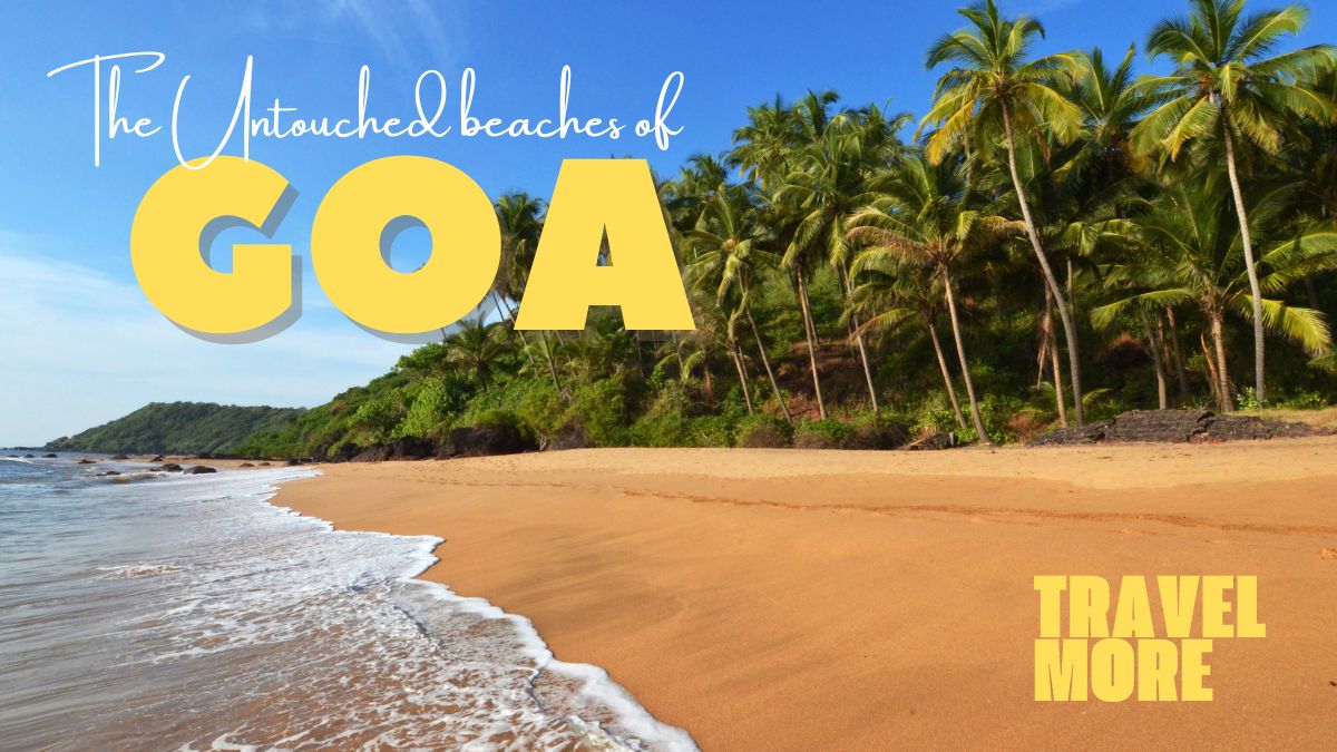 Goa Trip 2025: Must-Visit Beaches To Enjoy With Friends And Make Memories