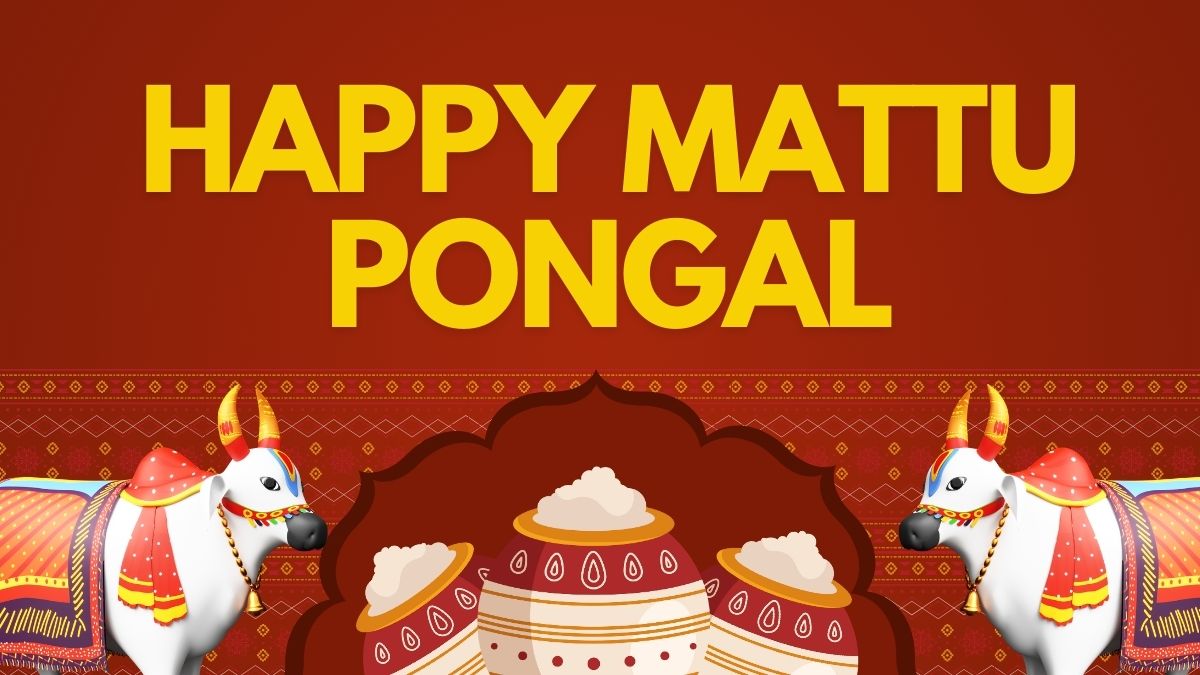 Happy Mattu Pongal 2025: Wishes, Quotes, Messages, WhatsApp And ...