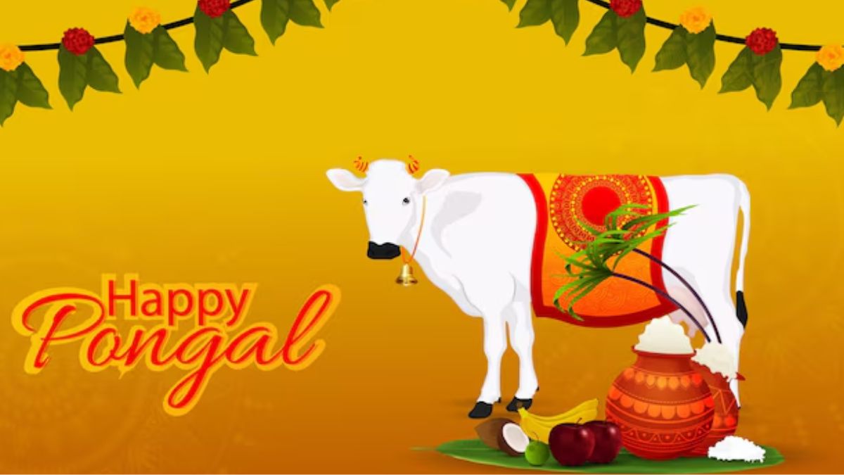 Happy Mattu Pongal 2025: Wishes, Quotes, Messages, WhatsApp And ...