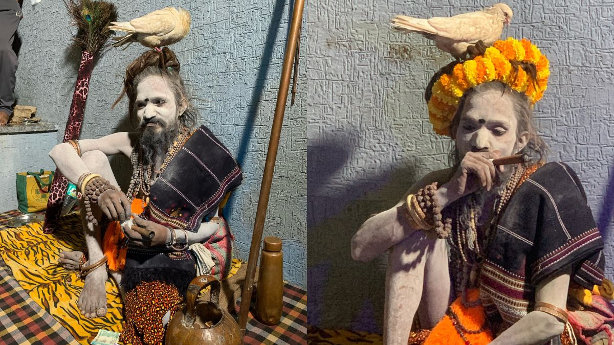 Mahakumbh Mela 2025: Meet Extraordinary Babas Who Are Making Waves And ...
