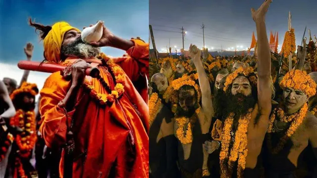 Types Of Kumbh Mela: Difference Between 4 Kumbh, Their History And ...