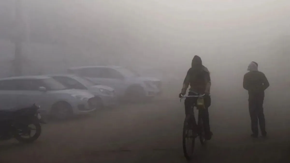 Weather Update: IMD Issues Yellow Alert For Dense Fog In Delhi-NCR, Snowfall Expected In J-K ...