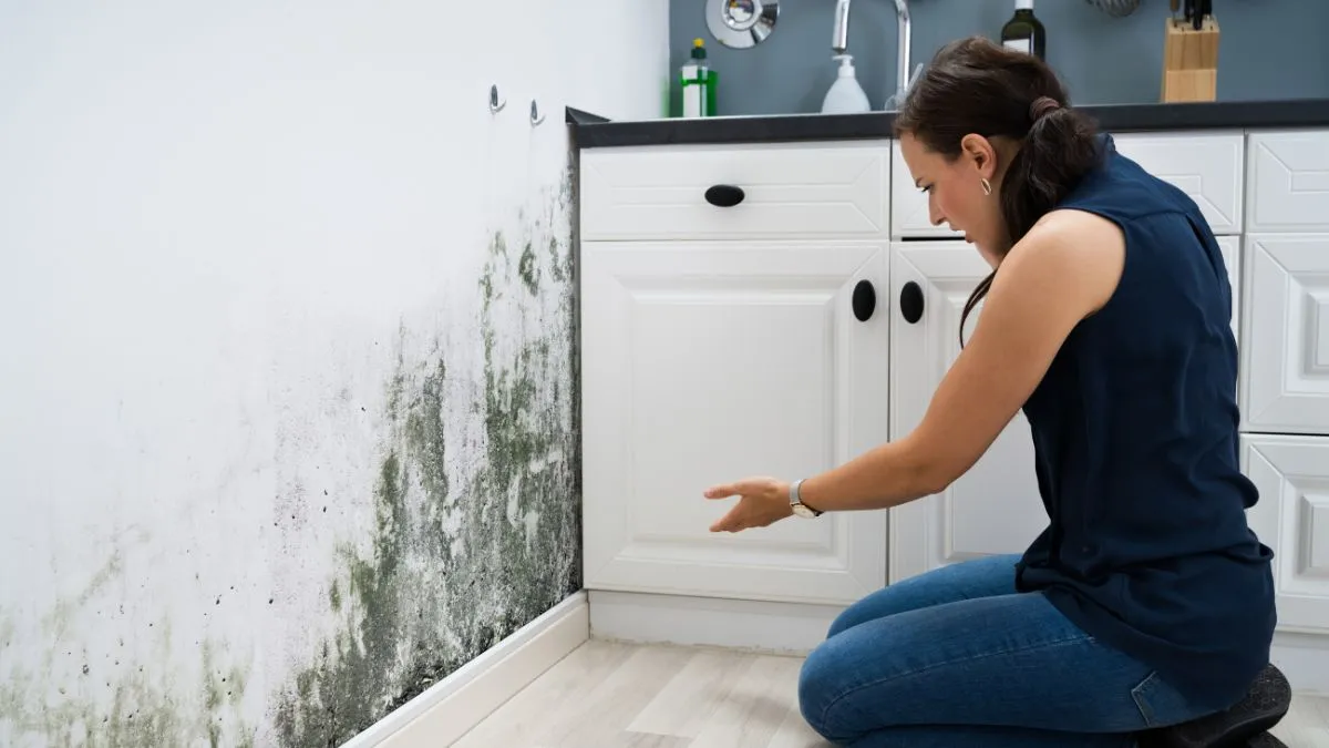 Can Exposure To Indoor Molds Cause Fungal Lung Infections? Know From Expert