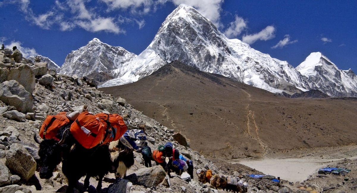 Mount Everest Climbing Fees Hiked By Whopping 36%; Climbers Will Now ...